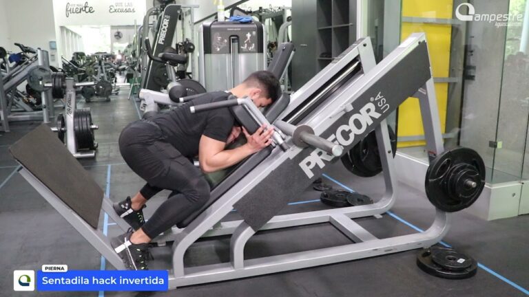 Guía Definitiva para Ejecutar la Sentadilla Hack Invertida ...